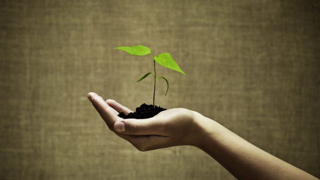 CULTIVATE WHAT YOU HAVE – inspired2go